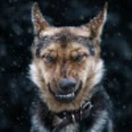 Иконка канала Aleks_K