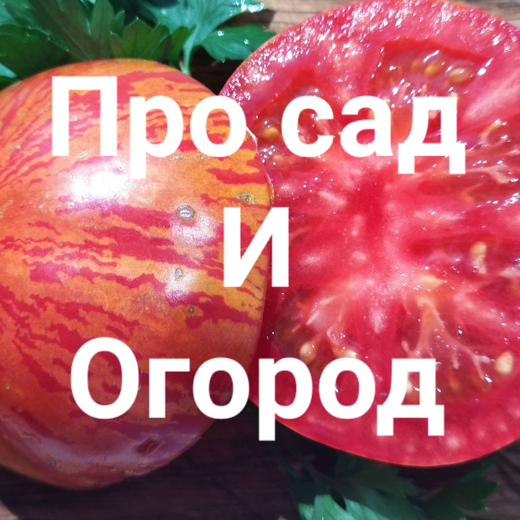 Иконка канала Про сад и огород