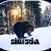 Иконка канала Siberia