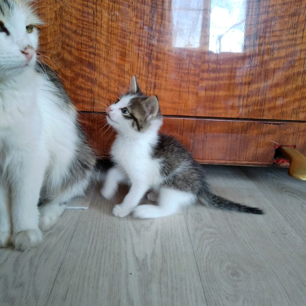 Иконка канала channel30870835