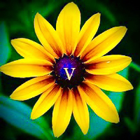 Иконка канала Ремонт Фар и Бамперов