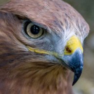 Иконка канала Охота-рыбалка. ПИЖМА. Жизнь в деревне.