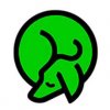 Иконка канала Dognest | Догнест