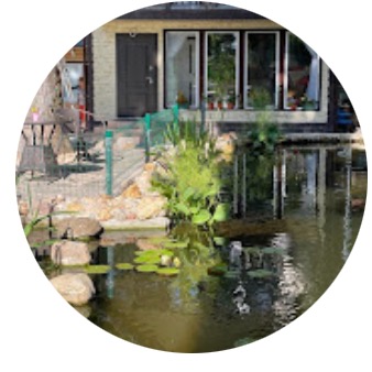 Иконка канала ПРУД НА ДАЧЕ