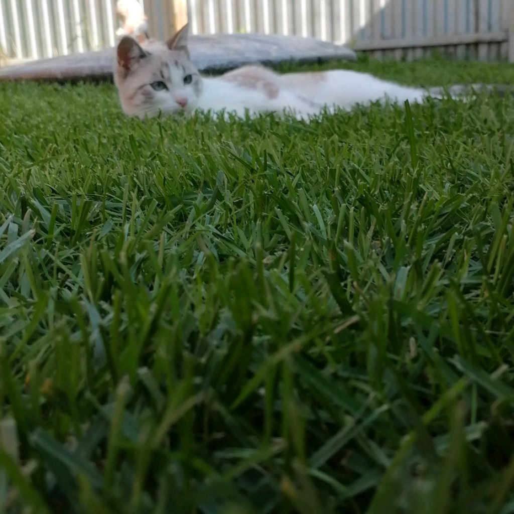 Иконка канала Есения