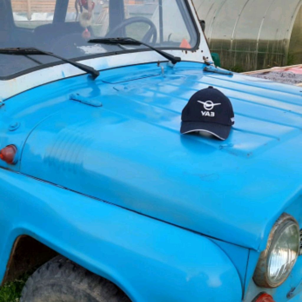 Иконка канала Тайга - Коми