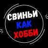 Иконка канала СВИНЬИ КАК ХОББИ