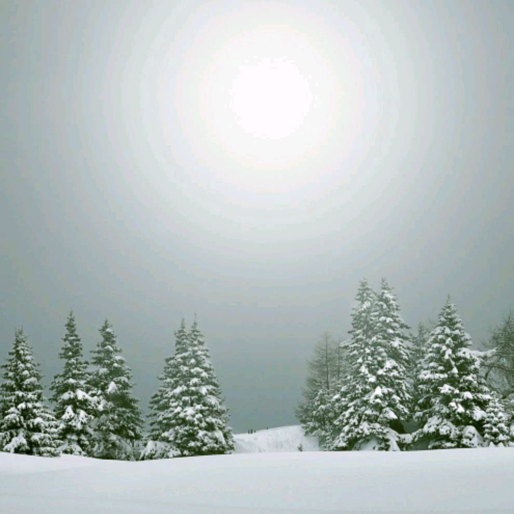 Иконка канала Лесовик