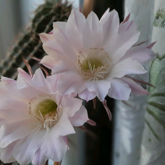 Иконка канала Сергей Крехтунов