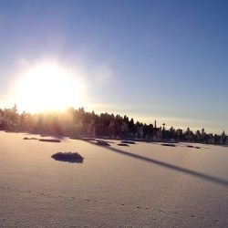 Иконка канала SDV