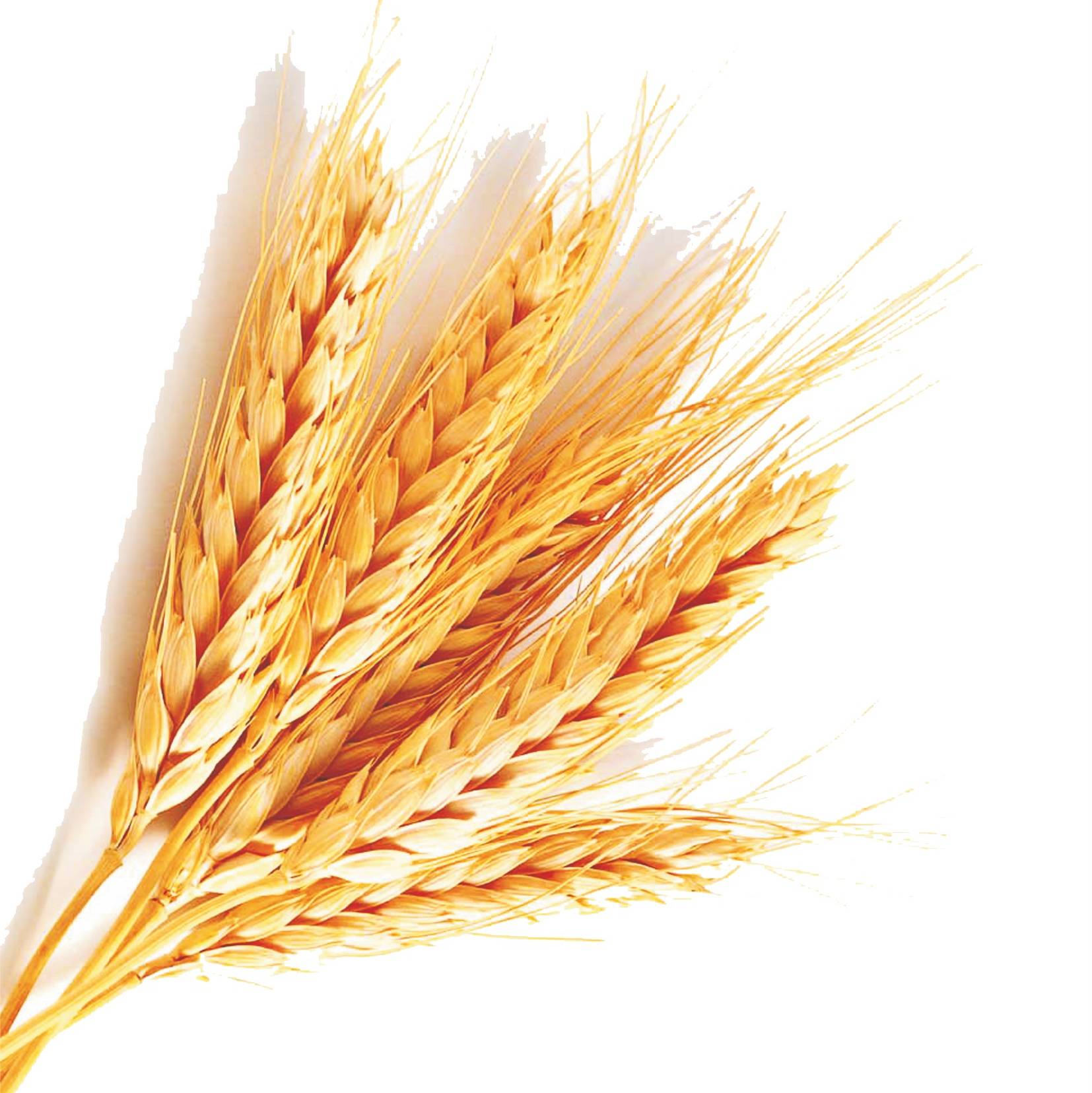 Иконка канала arpo73.pqp