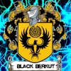 Иконка канала BlackBerkutRU