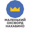 Иконка канала Школа развития интеллекта в Нахабино