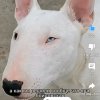 Иконка канала channel39038194
