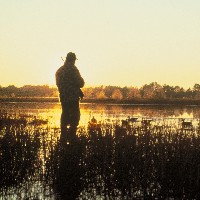 Иконка канала инстинкт