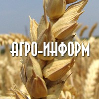 Иконка канала Самара-АРИС