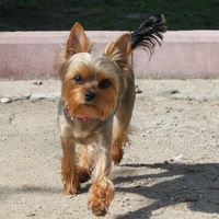 Иконка канала Татьяна Бажанова