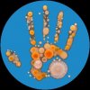 Иконка канала Петритест - микробиологические экспресс-тесты