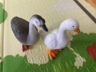 Иконка канала Детские животные.