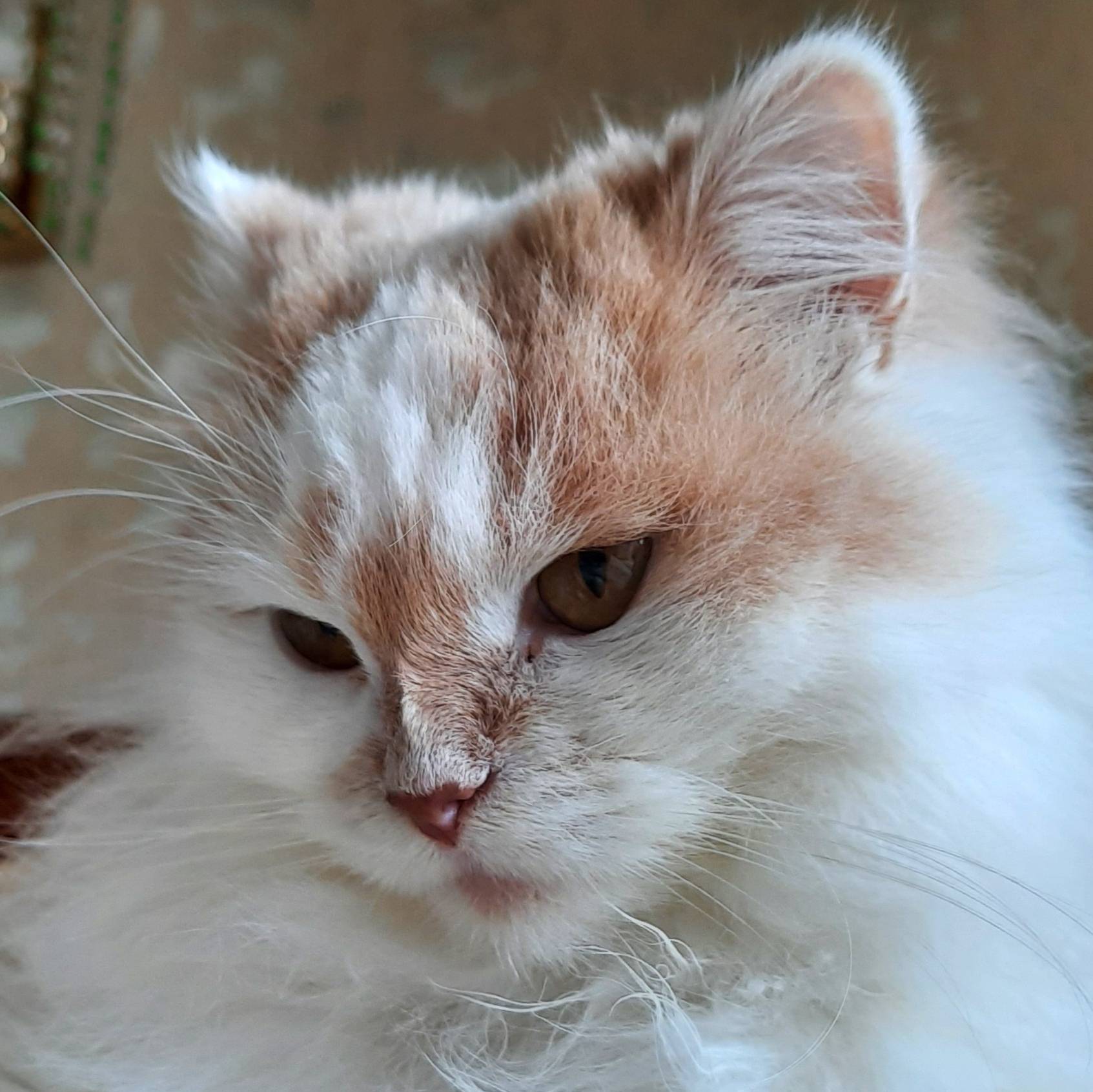 Иконка канала LukBigBox