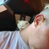 Иконка канала Stream by Niko