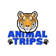 Иконка канала Animal Trips - международная доставка животных