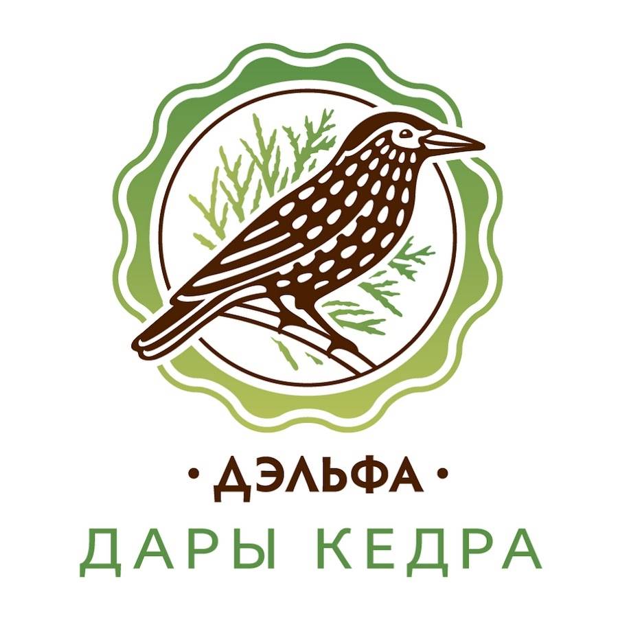 Иконка канала НПО "ДЭЛЬФА"