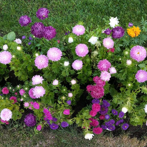 Иконка канала Светлана Беляева