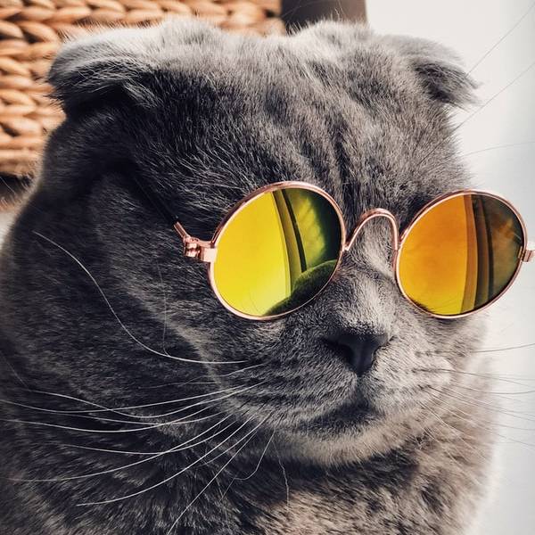 Иконка канала Профессор код