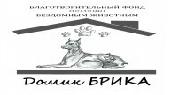 Иконка канала ФОНД ПОМОЩИ БЕЗДОМНЫМ ЖИВОТНЫМ "Домик БРИКА"