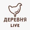 Иконка канала Деревня живёт