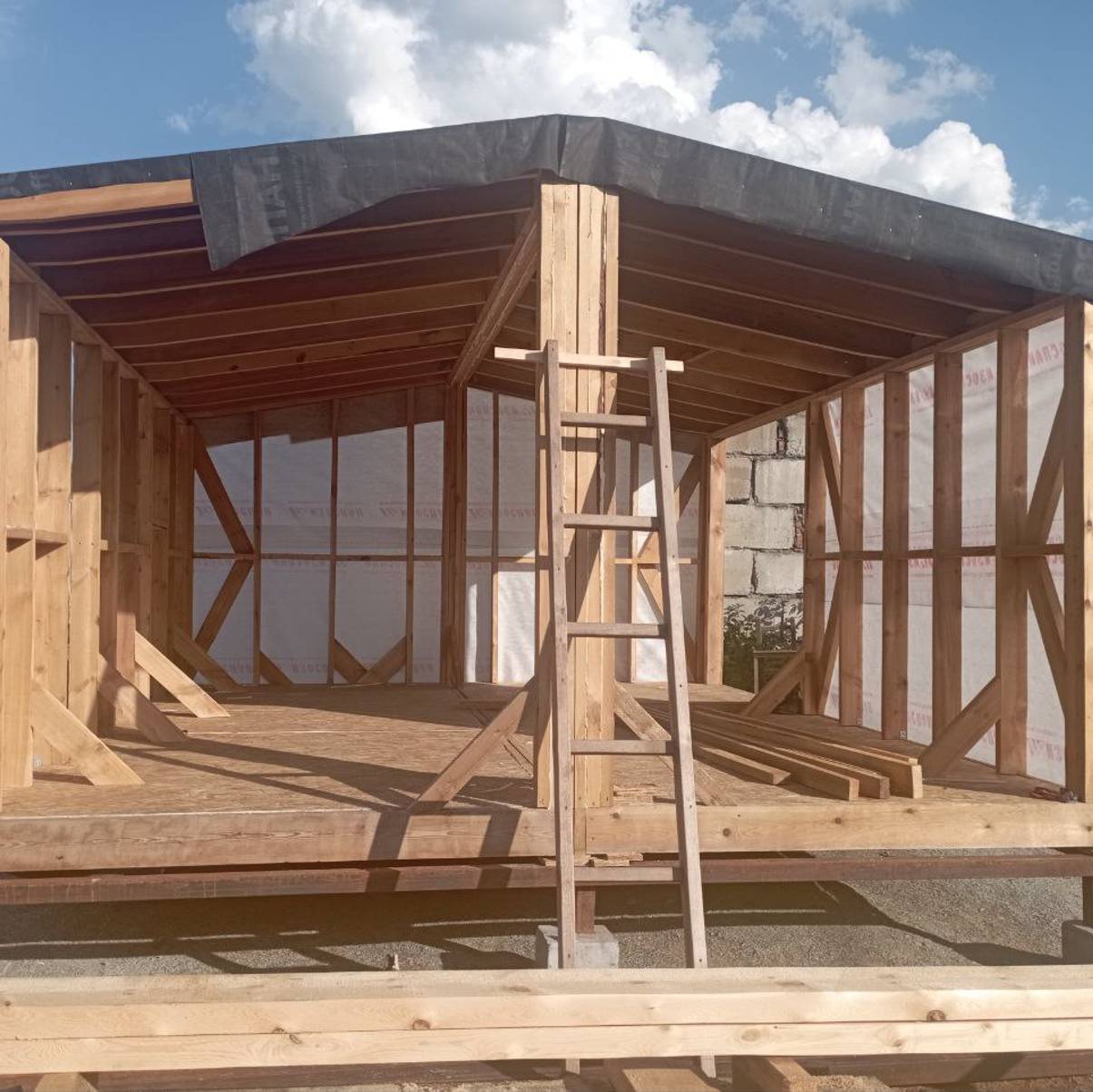 Иконка канала badoma