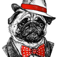 Иконка канала BossMops
