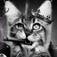 Иконка канала WOWBass Live