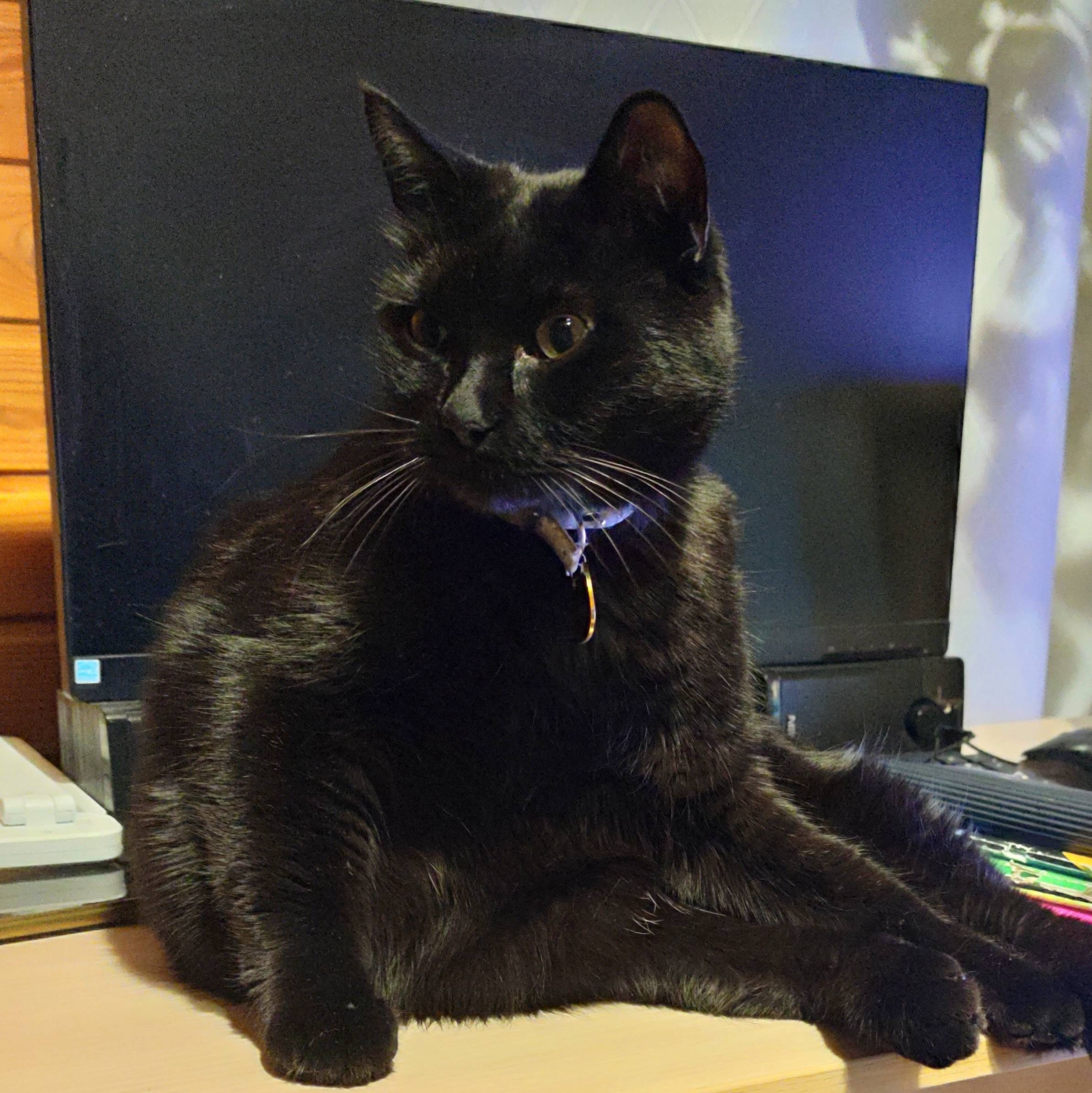 Иконка канала svetlanav2210