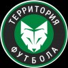 Иконка канала Академия "ТЕРРИТОРИЯ ФУТБОЛА"