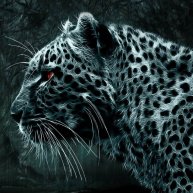 Иконка канала Aberbobr