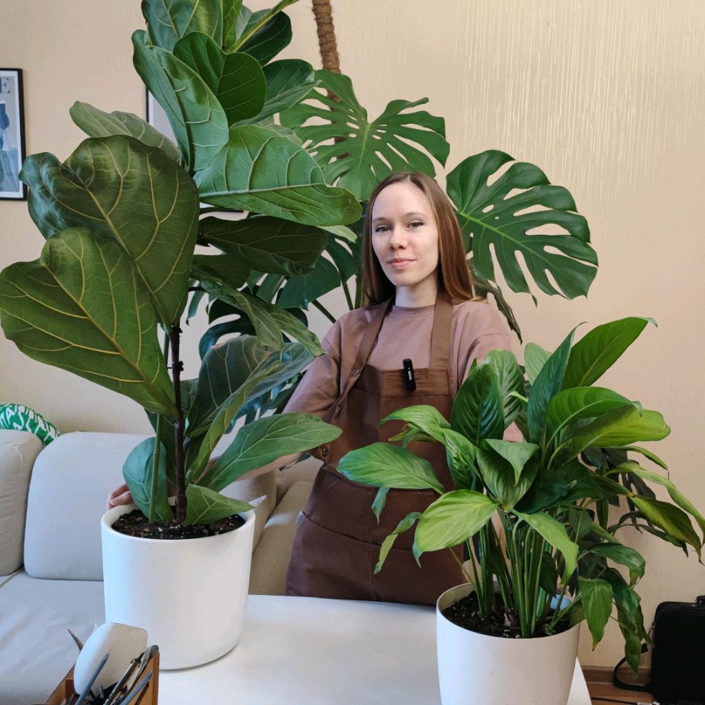 Иконка канала plants_with_wiess