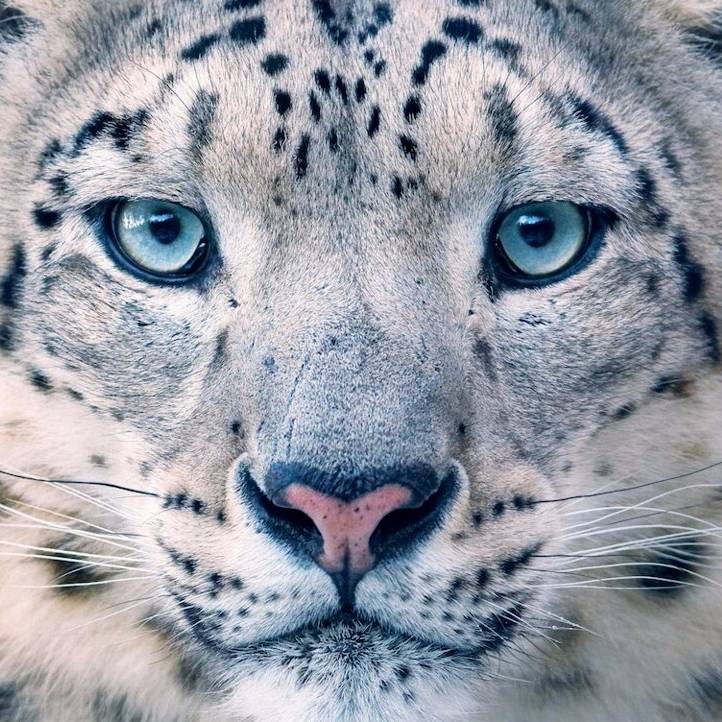 Иконка канала МИР МОИМИ ГЛАЗАМИ