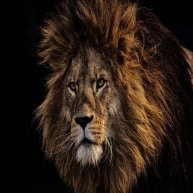 Иконка канала Ivan