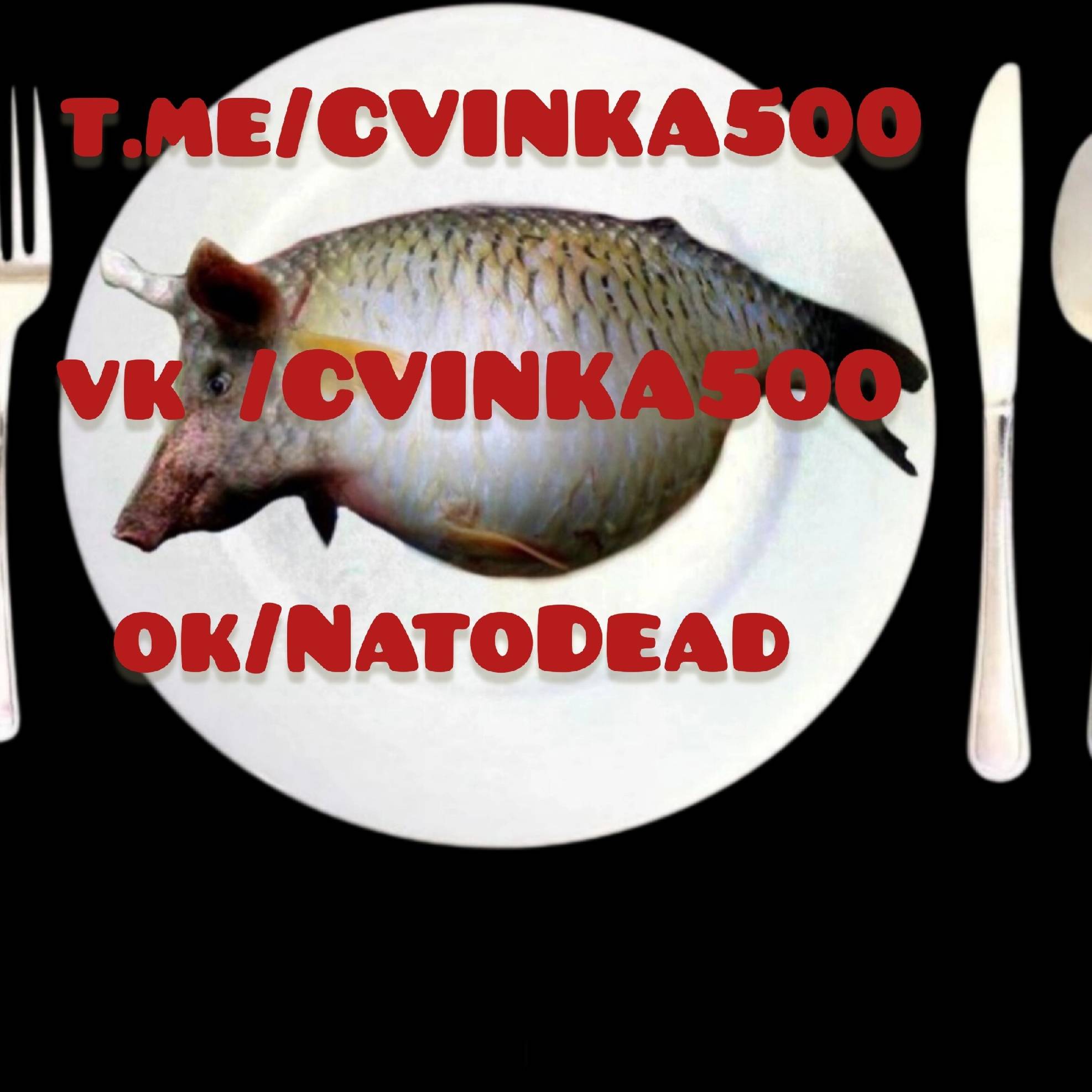 Иконка канала CVINKA500