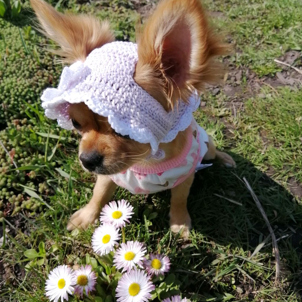 Иконка канала Понемногу  обо всём