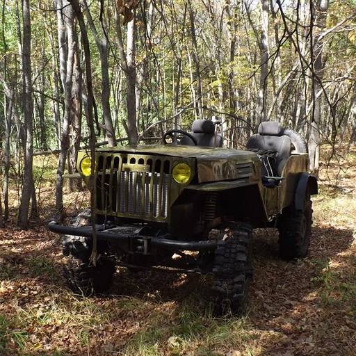 Иконка канала Прогулки на природе