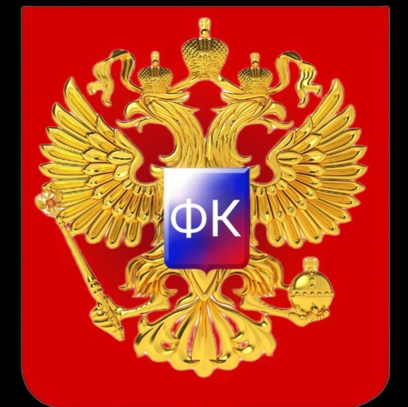 Иконка канала Федеральный  комитет по работе с властью