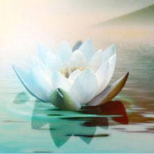 Иконка канала Курс "Рэйки Университет"