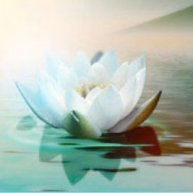 Иконка канала Курс "Рэйки Университет"