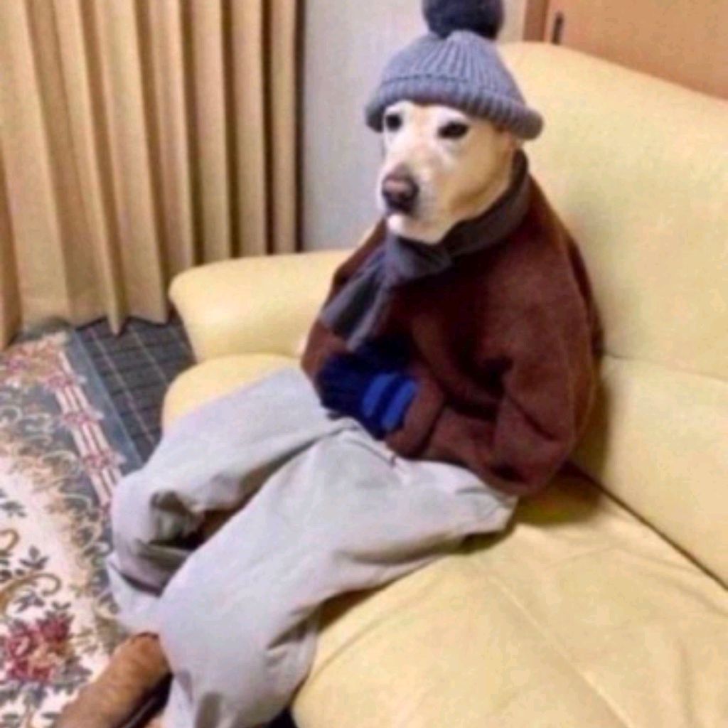 Иконка канала Mr. Denz