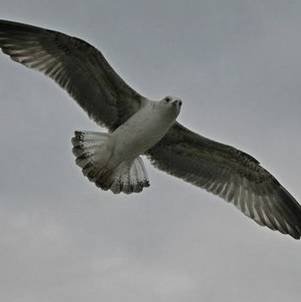 Иконка канала Куда сегодня?