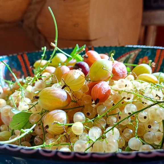 Иконка канала Кухня у Сёмушки