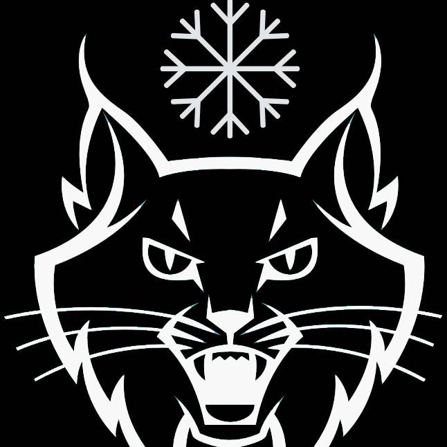 Иконка канала LYNXARMS